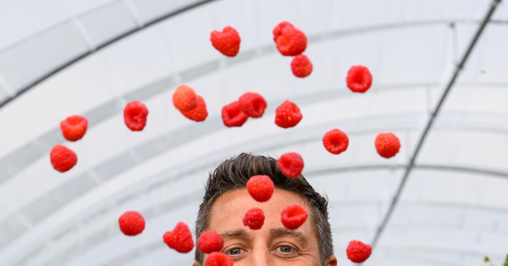 Stewarts of Tayside doubles raspberry supply to Asda | News | Fruitnet