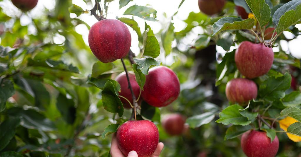 Vog reports strong sales and growing consumer awareness for premium ...