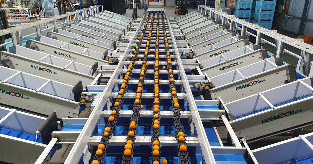 Reemoon’s four-lane first in Australia | Advertorial | Fruitnet