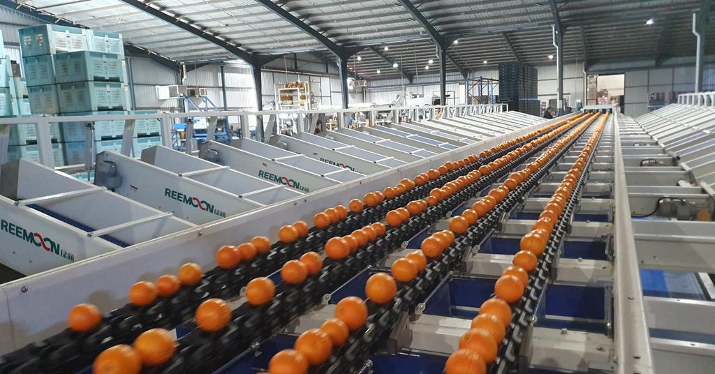 Reemoon’s four-lane first in Australia | Advertorial | Fruitnet