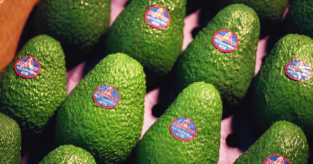 Mission updates avocado guide | Article | Fruitnet