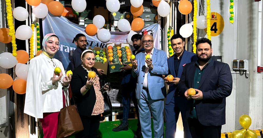 Egyptian citrus lands in India marking the start of the season | News ...