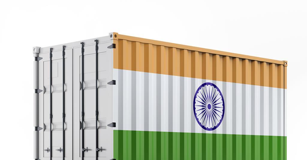 Indian exporters buoyed by improved container rates | News | Fruitnet