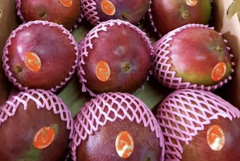 Fruit Brothers aims for Europe | Article | Fruitnet
