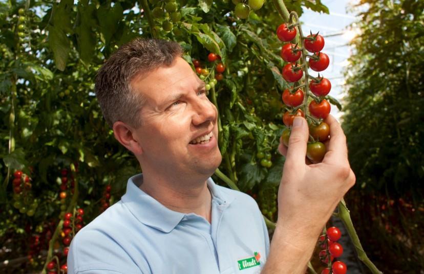 Edeka using tomato colour codes | Article | Fruitnet