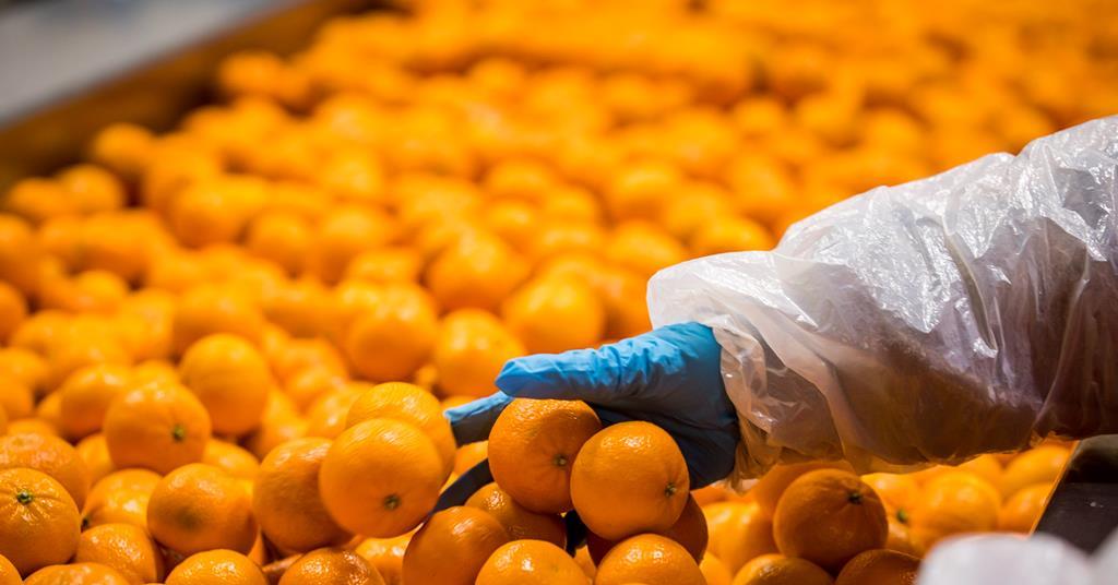 The future is here for South African citrus | News | Fruitnet