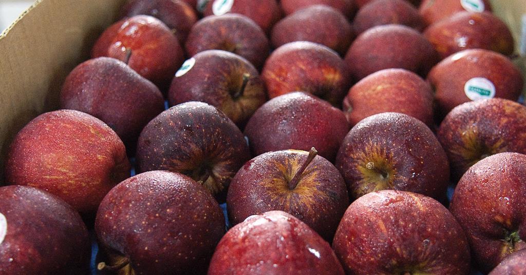 Indian apple imports rise by over 70 per cent | News | Fruitnet