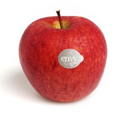 New Envy project aims at Asia, US | Article | Fruitnet