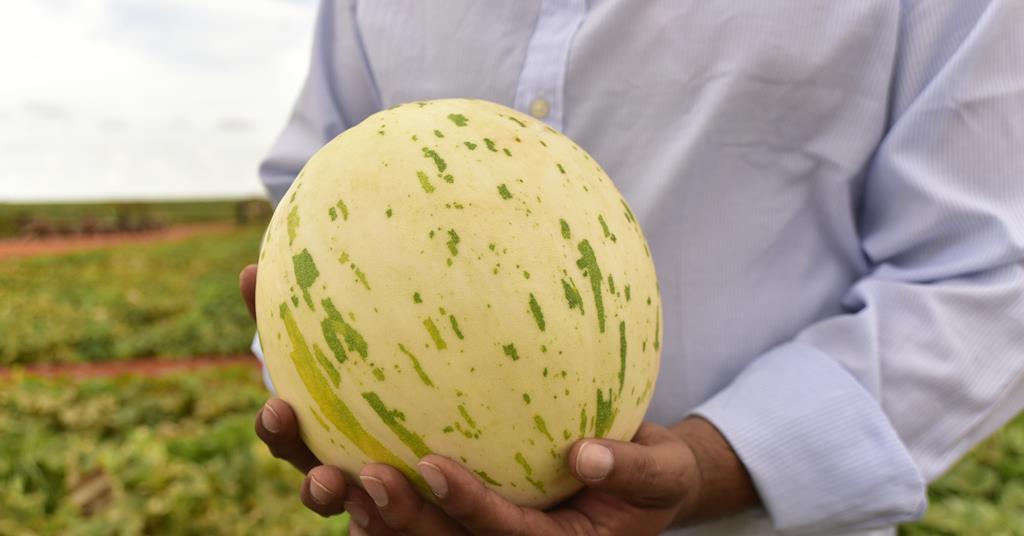 Melon&Co opens its doors | Article | Fruitnet