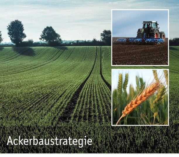 Landwirtschaftliche Verbände legen Zukunftsstrategie Ackerbau vor ...
