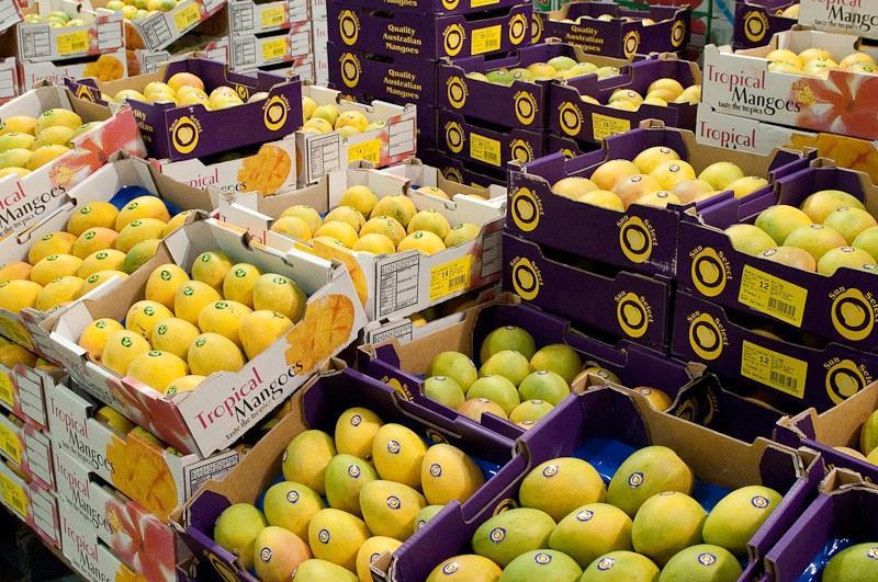 USDA recommends Australian mango access | Article | Fruitnet