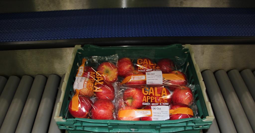 Tesco redesigns top fruit packaging | Article | Fruitnet