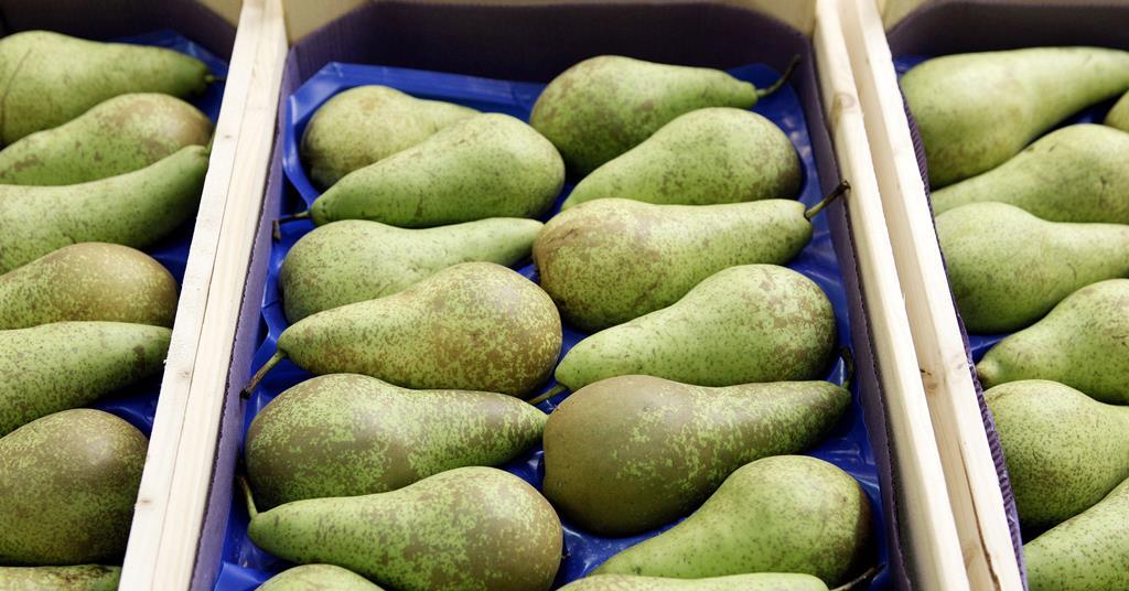 Niederlande: Fruitveiling Zuid-Limburg wird Teil von Fruitmasters ...