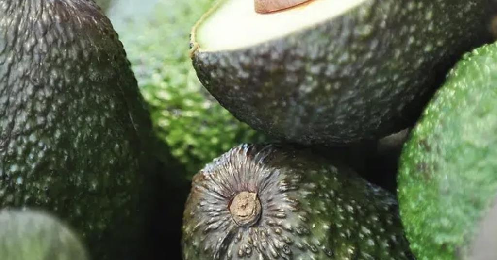 Colombian avocados celebrate Super Bowl success | News | Fruitnet