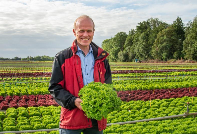 Rijk Zwaan fights downy mildew | Article | Fruitnet