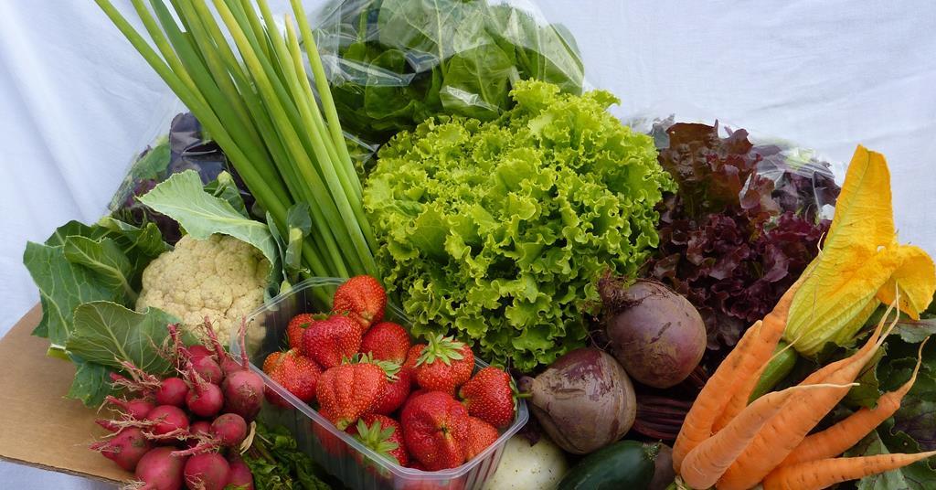 Box scheme offers a little extra | Article | Fruitnet