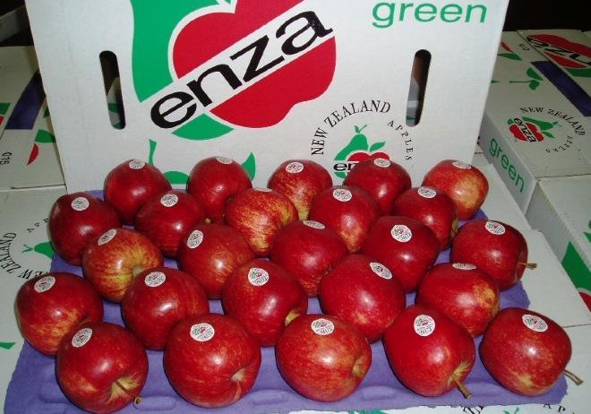 NZ Enza apples arriving mid-April | Article | Fruitnet