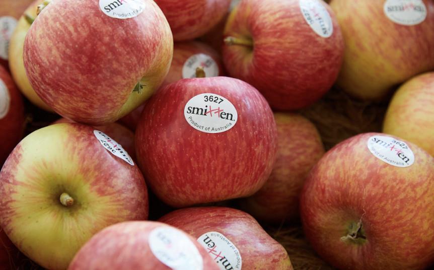 Smitten season underway in Australia | Article | Fruitnet