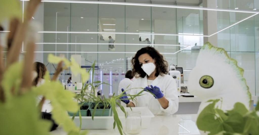 Bayer and Kimitec join forces to develop next-generation biologicals ...