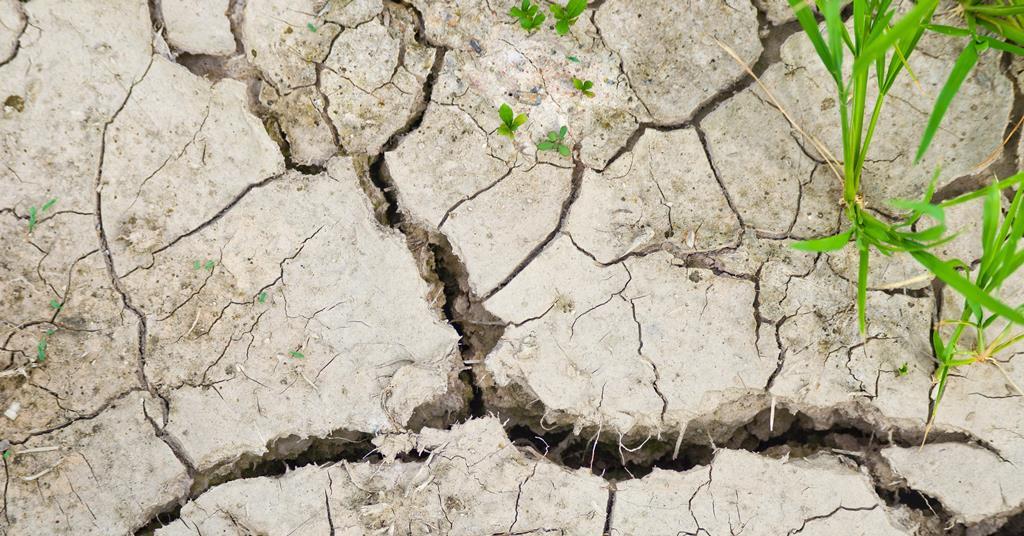 Dry weather ahead for Southern Africa | News | Fruitnet