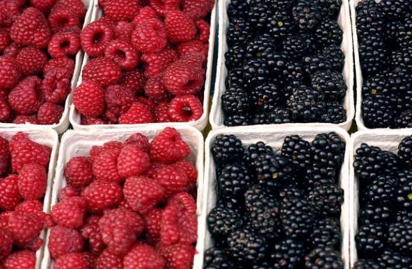 New force in Australian berries | Article | Fruitnet