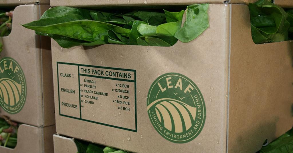 LEAF Marque is a catalyst for systemic change | Comment | Fruitnet