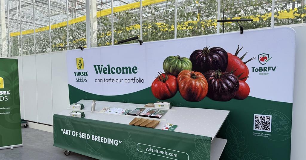 Yuksel Seeds opens tomato Experience Showcase at Delphy Bleiswijk ...