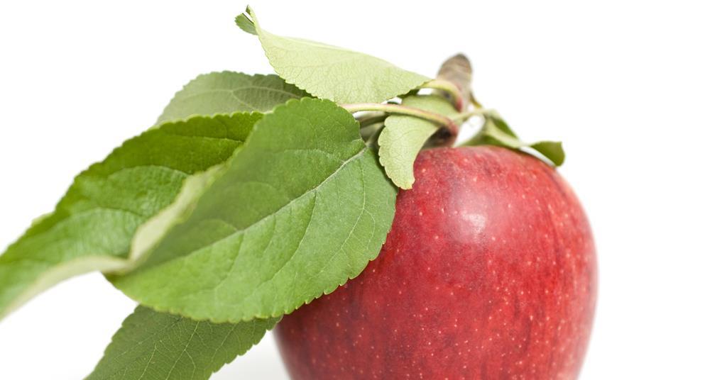 Nufri launches new Envy marketing campaign | Article | Fruitnet