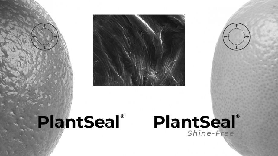 Citrosol unveils organic plant coatings | Article | Fruitnet