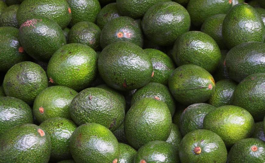 Aldi unveils Organic Avocado Oil | Article | Fruitnet
