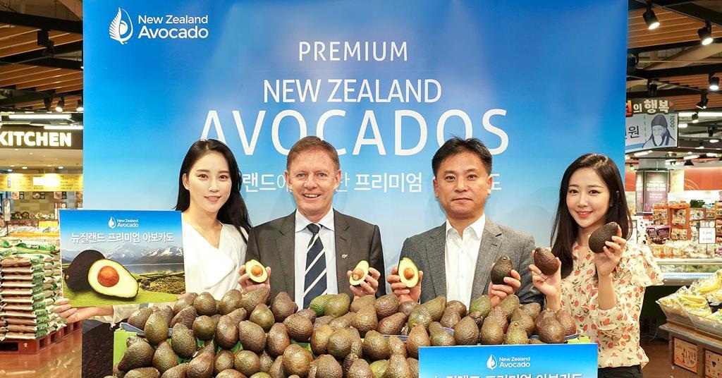 NZ avocado exports set for recovery in 2025 | News | Fruitnet