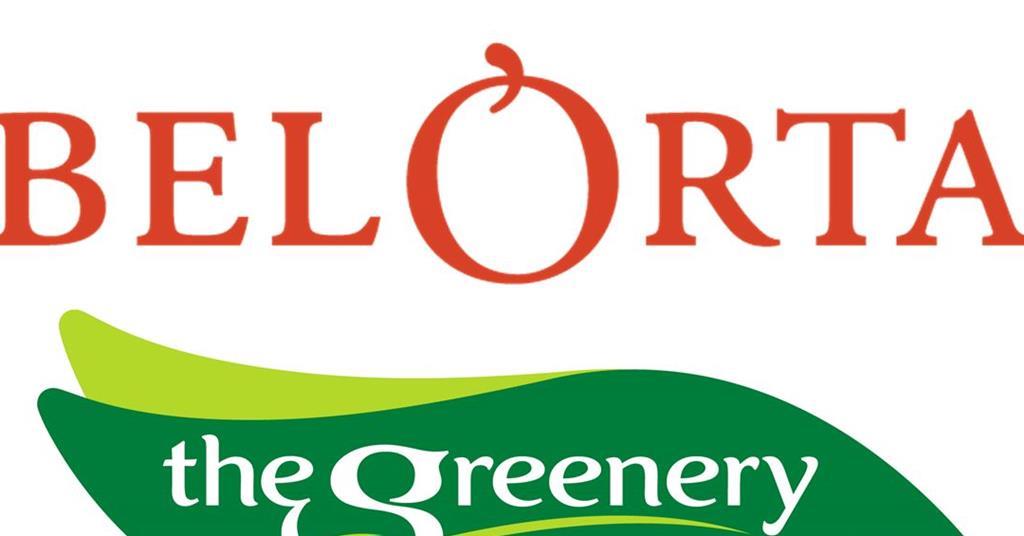 BelOrta und The Greenery prüfen Zusammenarbeit | Article | Fruitnet