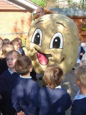Fenmarc in school potato project | Article | Fruitnet