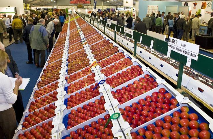 National Fruit Show names juice competition winners | Article | Fruitnet