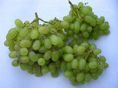 JPFD on trail of Frutavit solution | Article | Fruitnet