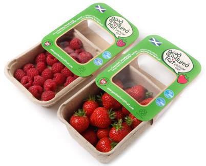 Recyclable punnet range launched | Article | Fruitnet