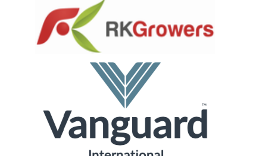 Vanguard International partners with RK Growers | News | Fruitnet