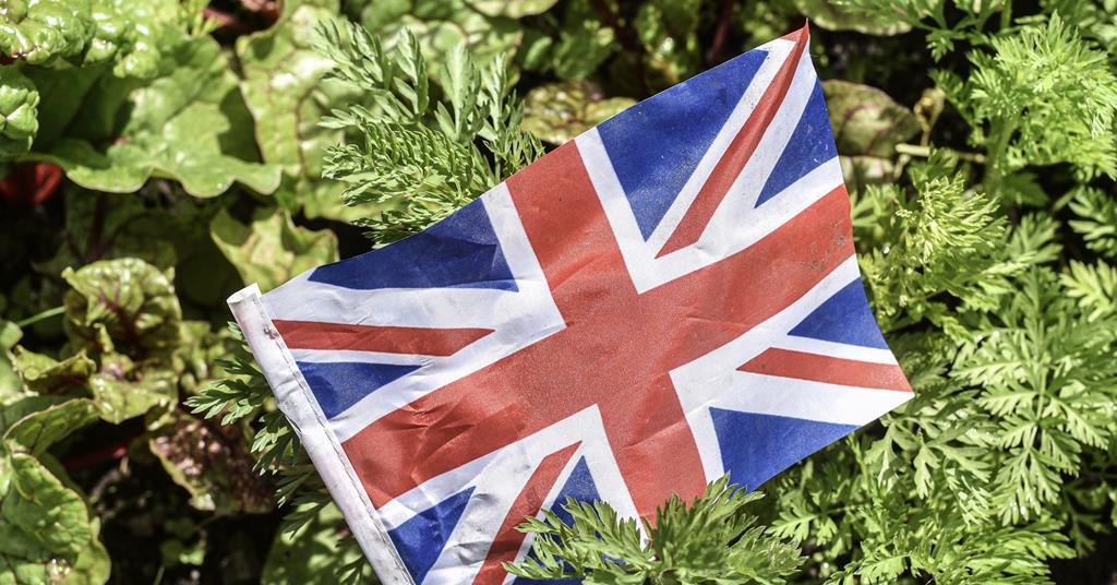 UK trade bodies call for government action amid cost crisis | News ...