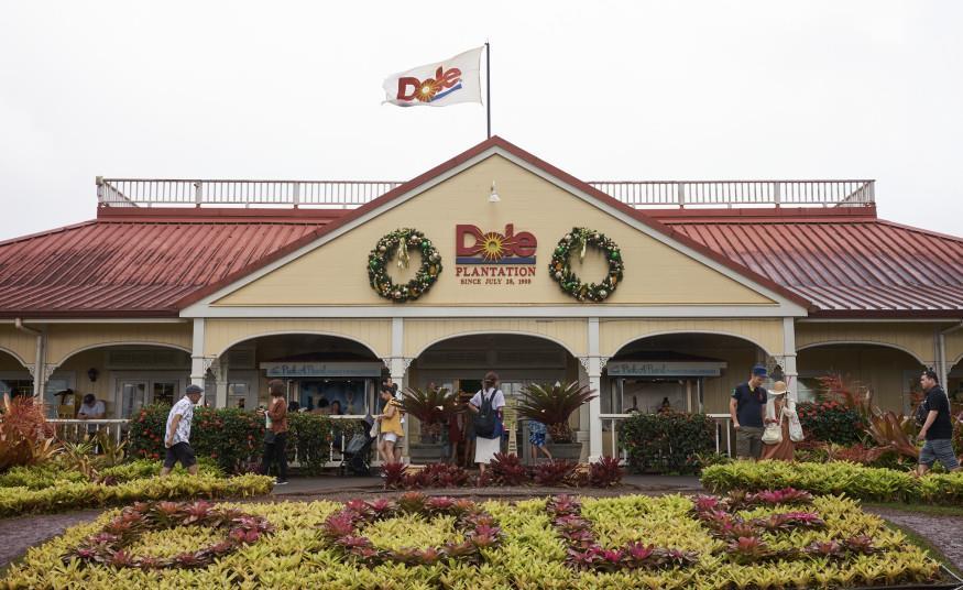 "Transformational year" for Dole | Article | Fruitnet