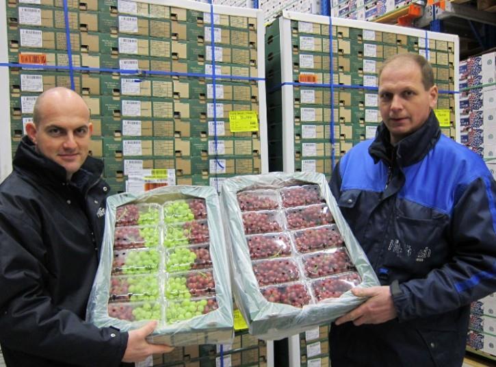 Hillfresh welcomes Namibian grapes | Article | Fruitnet