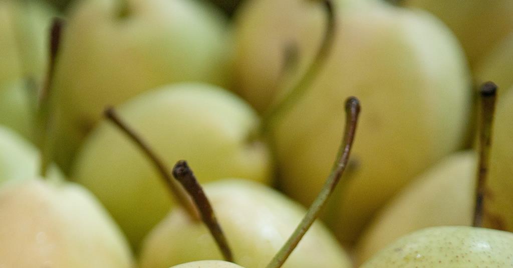 USDA relax import requirements for Chinese pears | Article | Fruitnet