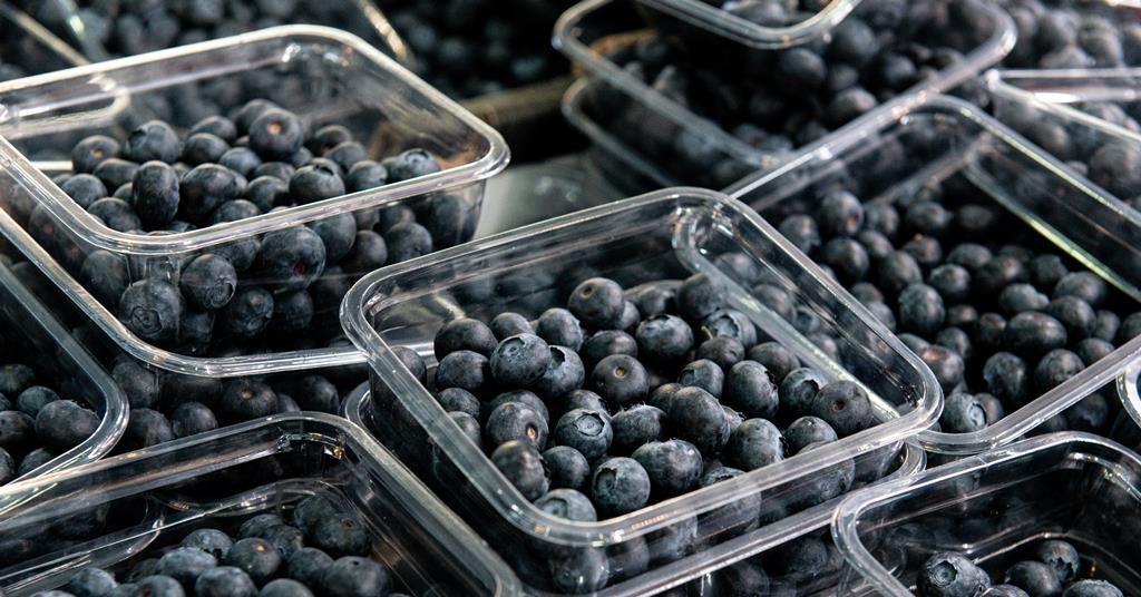 Superfresh Growers kicks off blueberry season | News | Fruitnet
