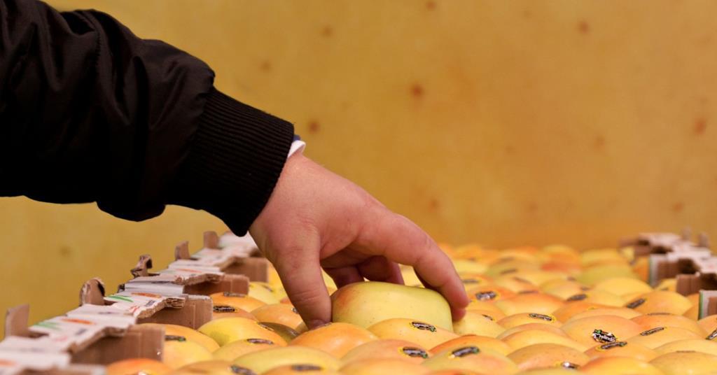 US to grant access for Italian topfruit | Article | Fruitnet