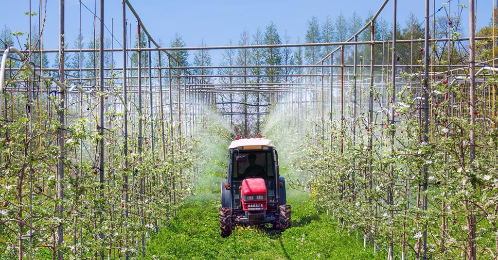 Korea’s smart orchard project returns to Yanggu County | News | Fruitnet