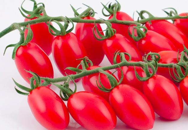 Caparrós unveils new gourmet tomato | Article | Fruitnet