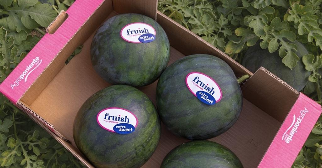 Agroponiente set for big rise in watermelon and melon production | News ...