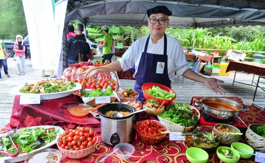 Crystal lettuce to sparkle in Asia | Article | Fruitnet