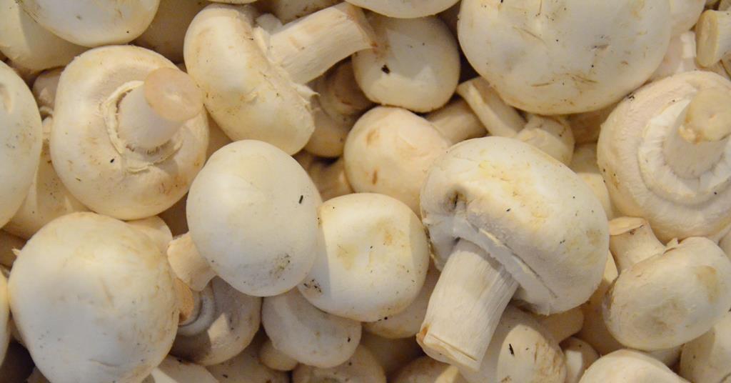 Deutsches Obst und Gemüse: Champignon bleibt Champion | Article | Fruitnet