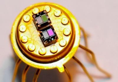 New ripeness sensor unveiled | Article | Fruitnet