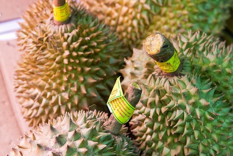 Malaysia brings tropical touch to Scandinavia | Article | Fruitnet